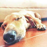 Brian Roldan | The Independent Photographer