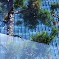 yejun LIM LIM | The Independent Photographer