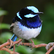 Lauren Seger | The Independent Photographer