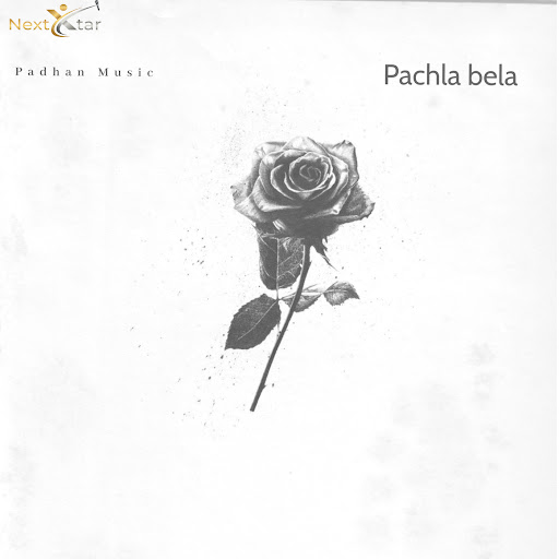 Pachla bela - YouTube Music