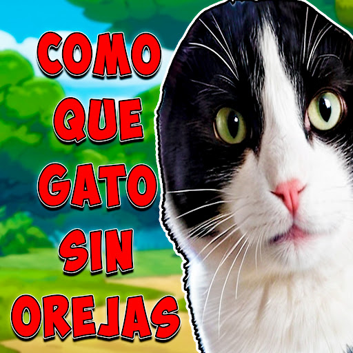 Como que gato sin orejas - YouTube Music