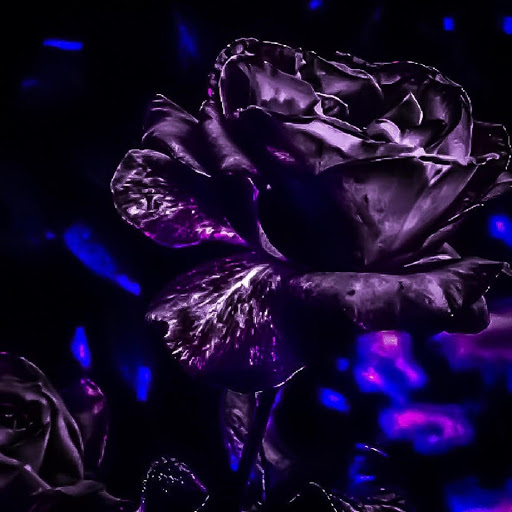 Dreaded Intro - YouTube Music