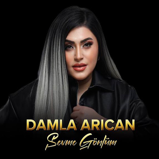 Sevme Gönlüm - YouTube Music