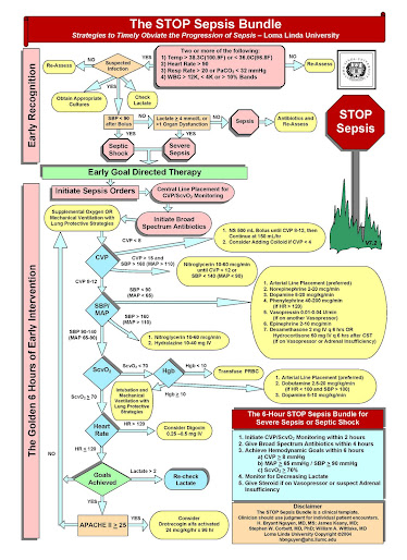 急診夜未眠: The STOP Sepsis Bundle