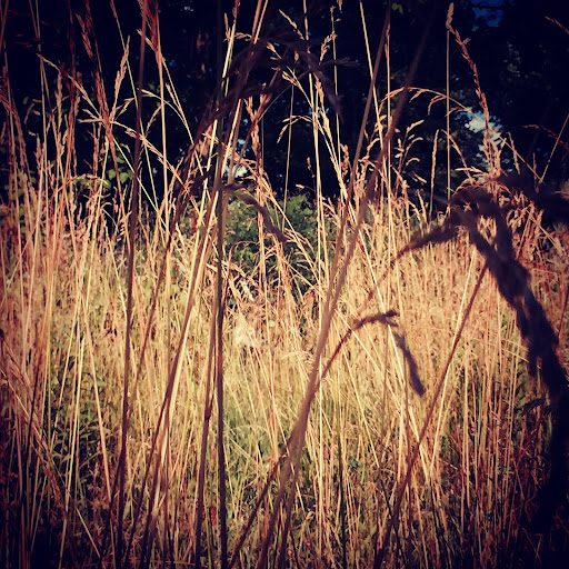 My oh my how things change - YouTube Music