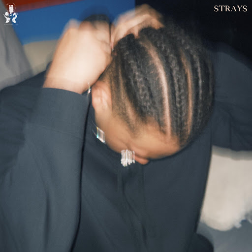 STRAYS - YouTube Music