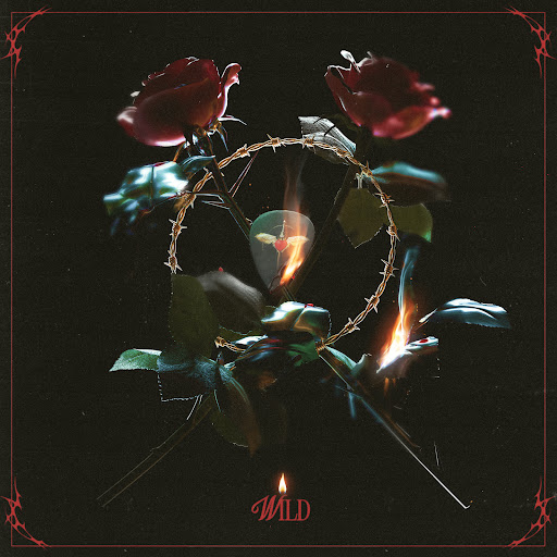 Wild - YouTube Music