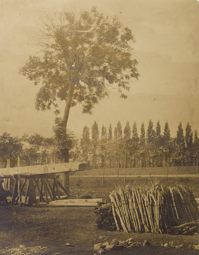 [Landscape with Bales of Cut Tree Limbs] - Henri-Victor Regnault and ...