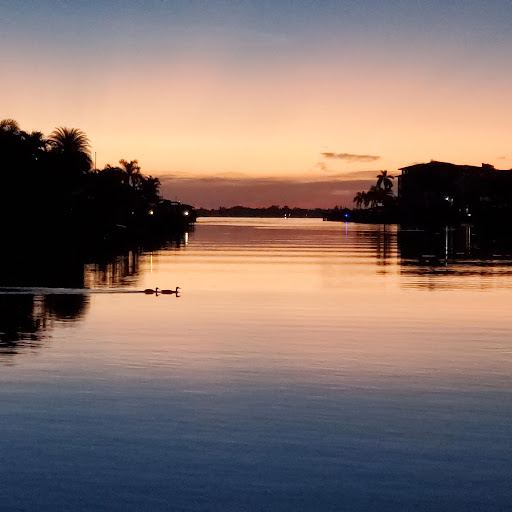 Duck Duck Go Boogie - YouTube Music