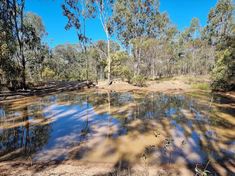 L82 Mcclymont, Wattle Camp, QLD, 4615 - @realty