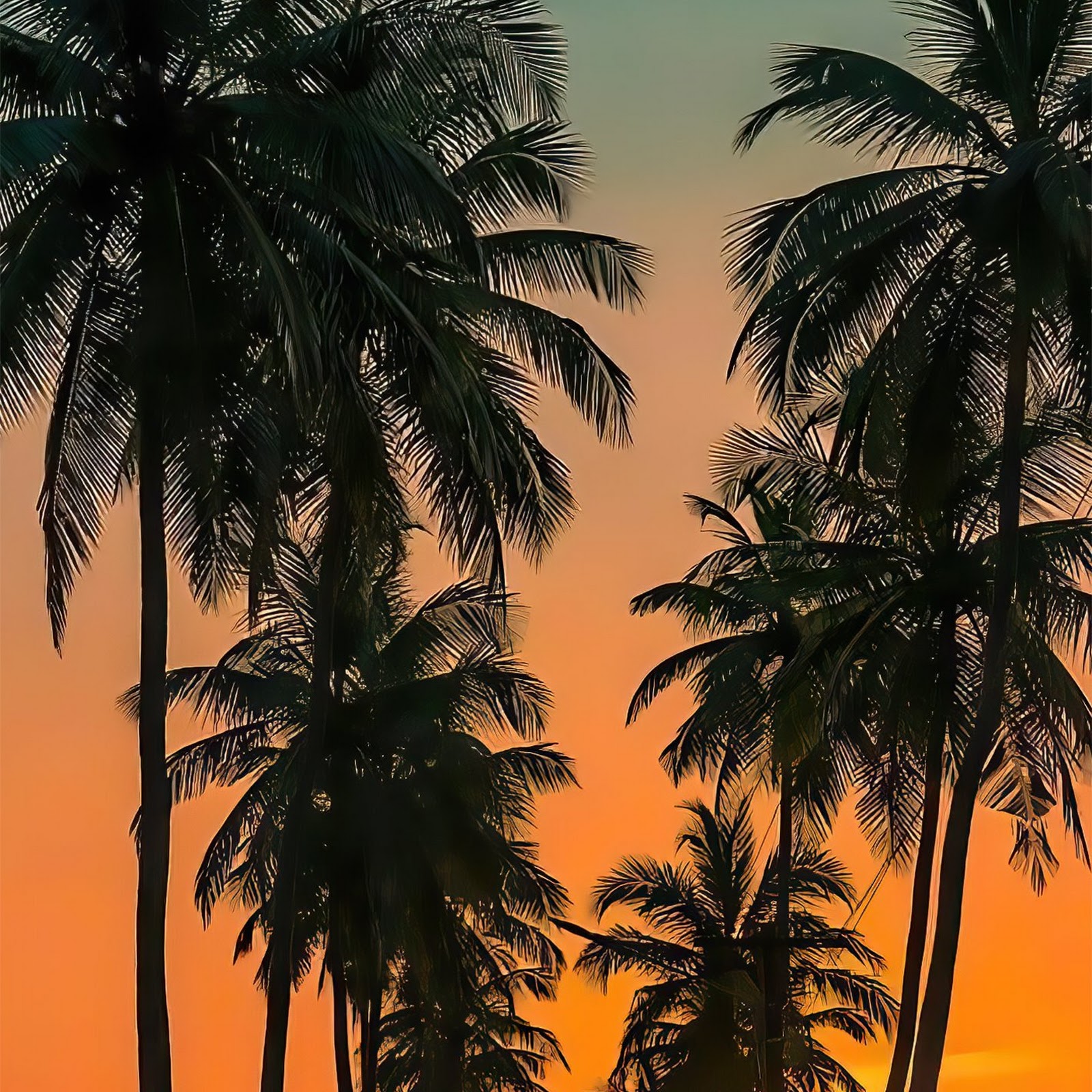 Goa Parra Road, Parra Coconut Road, Surla Waterfalls, Plant, Light Full ...