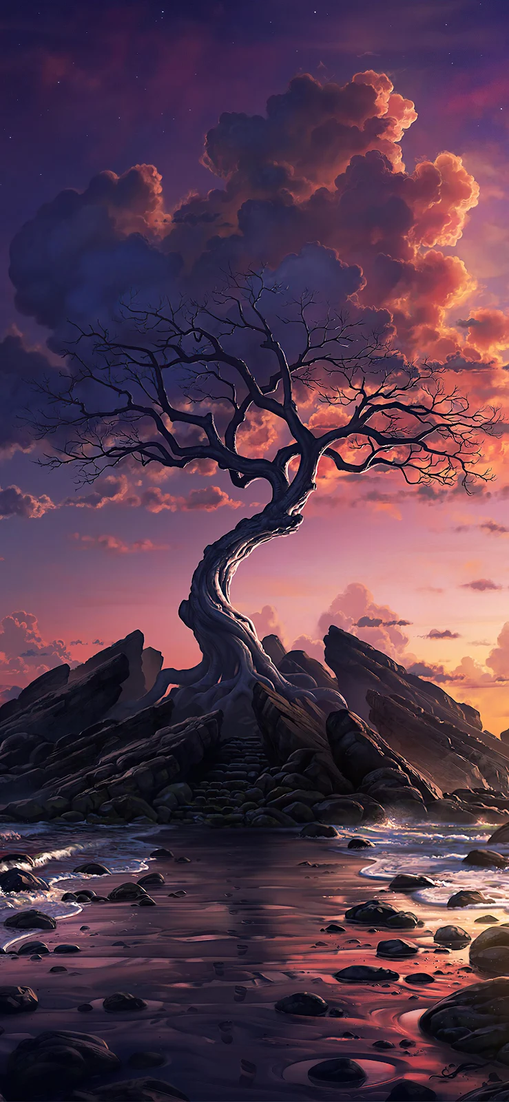 Gnarled Tree On Rocky Shore 2K iPhone Wallpaper