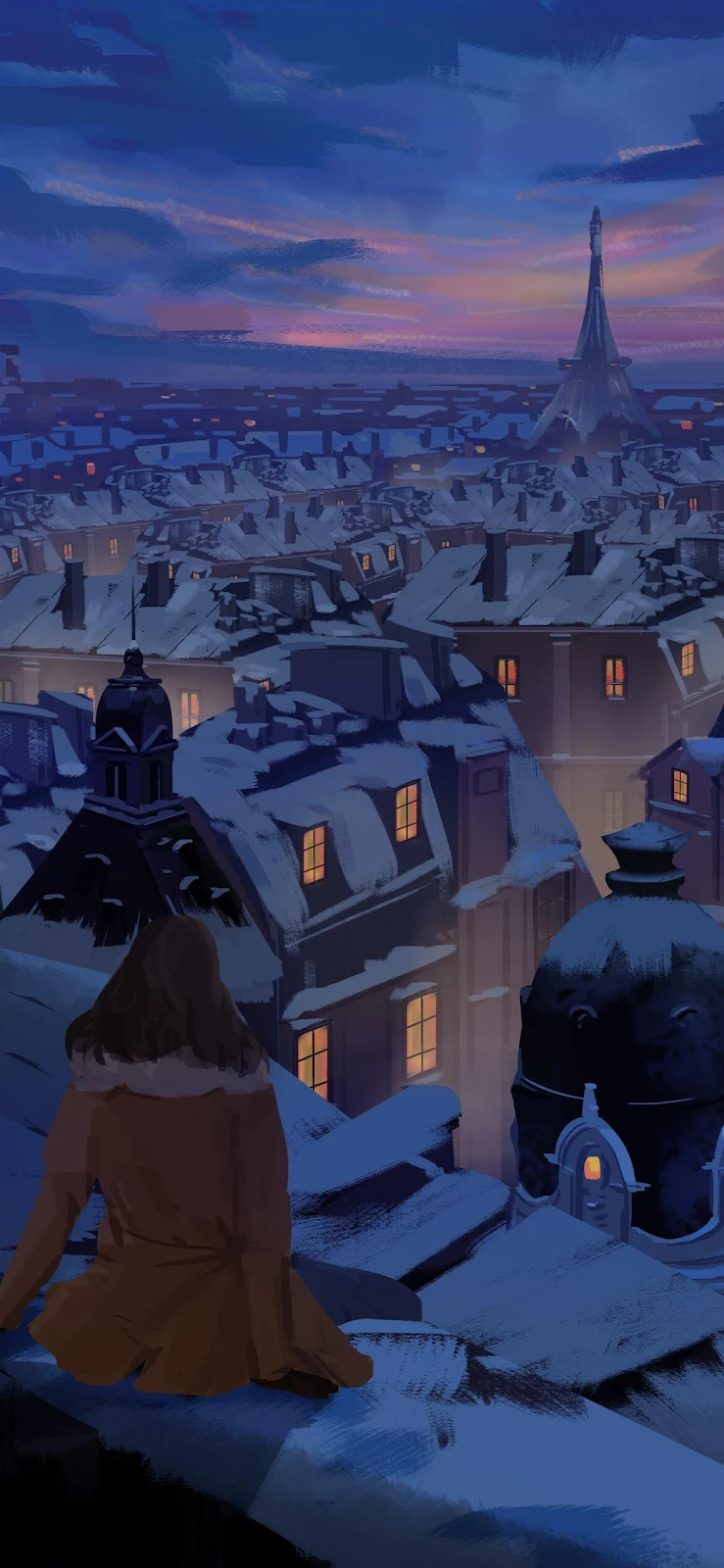 Winter Night Over Paris Rooftops Full HD iPhone Wallpaper