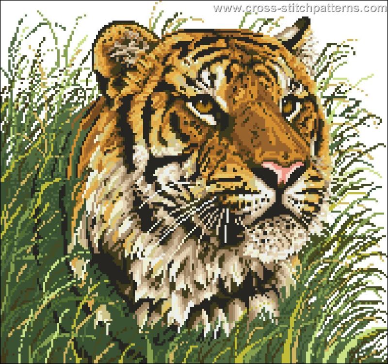 a tiger - Counted cross stitch patterns and charts