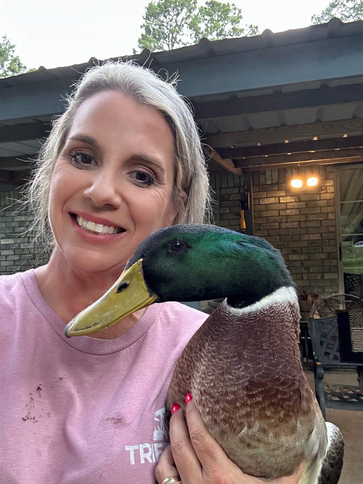 Duck, Goose & Chicken Hatchery | Metzer Farms, California