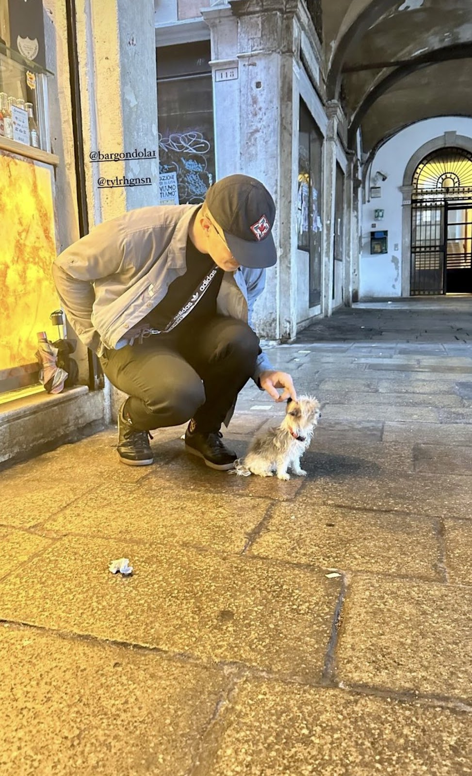 Miss Pancake Taylor's Blog