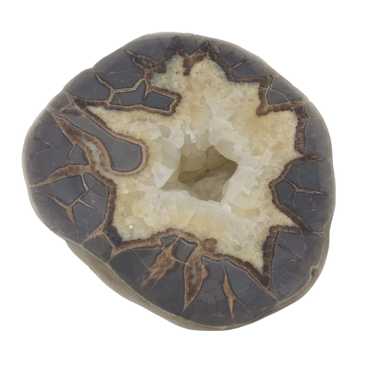 Septarian Large Dragon Geode