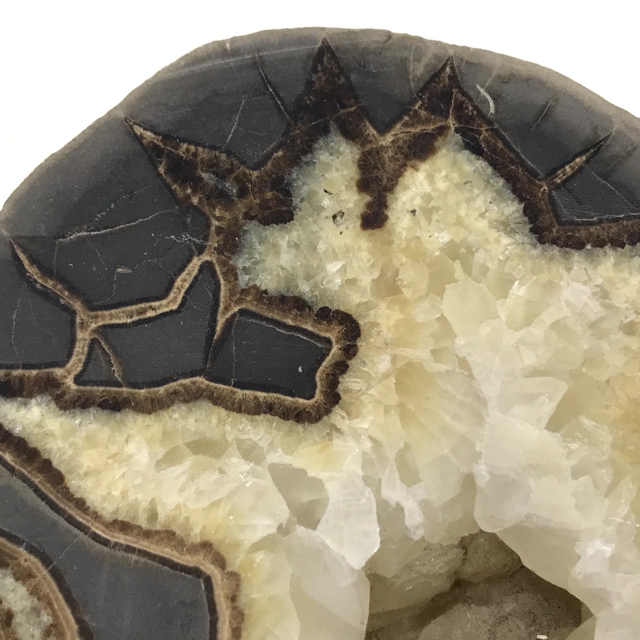 Septarian Large Dragon Geode