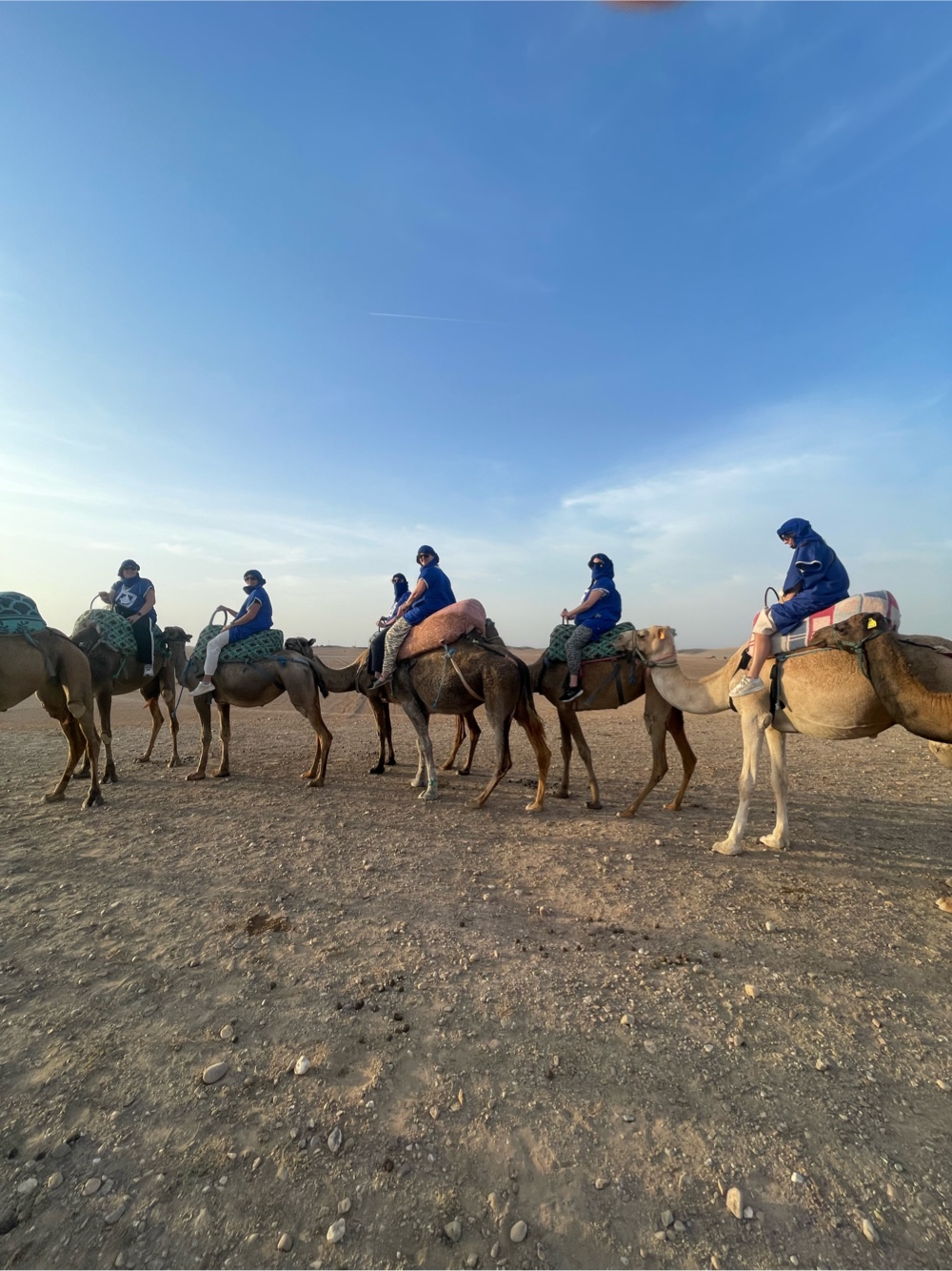 Pippy Abroad: Camel Riding