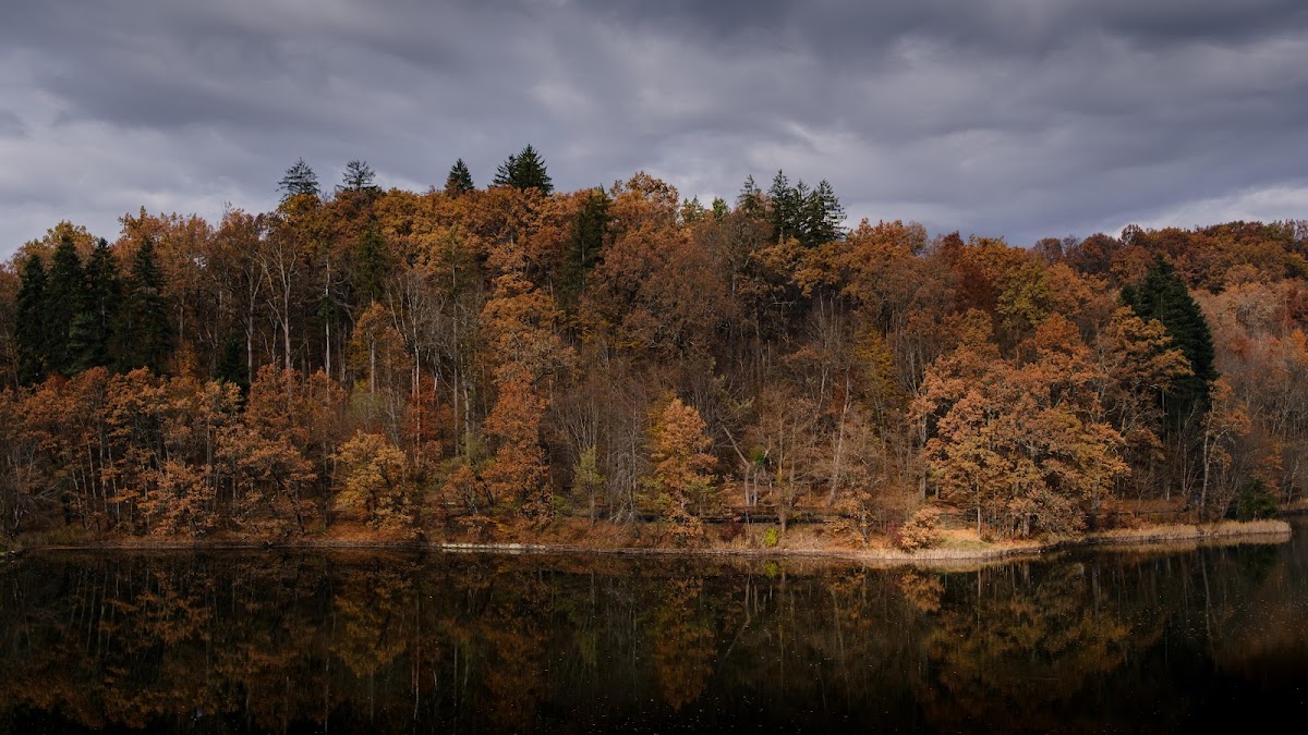 Overcast Autumn Forest By Lake 5K Desktop Wallpaper