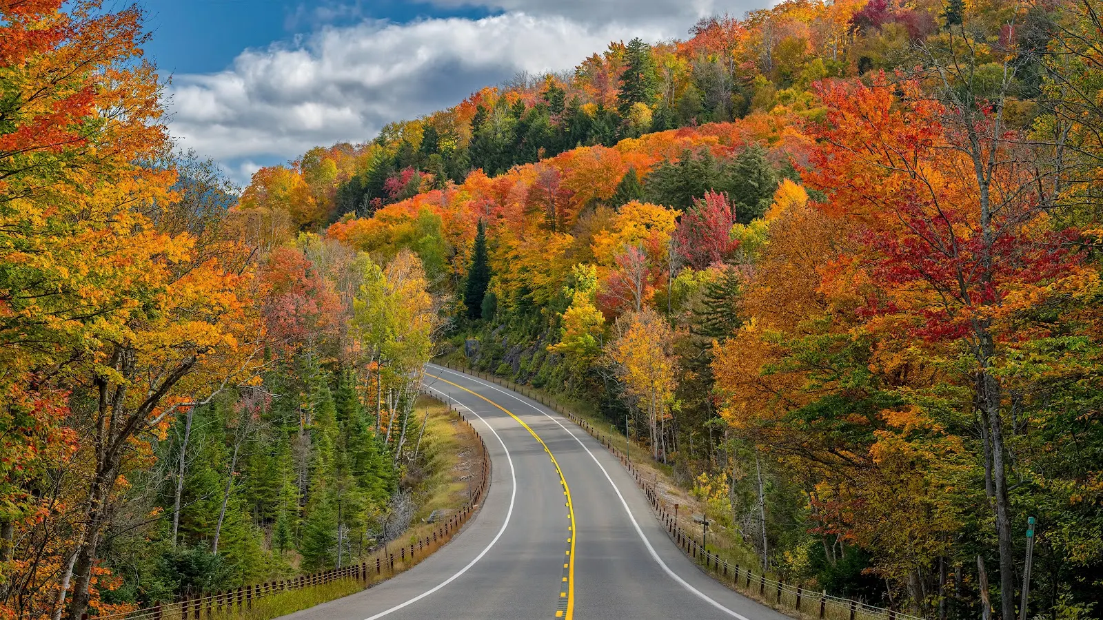 Winding Road Through Autumn Forest 5K Desktop Wallpaper