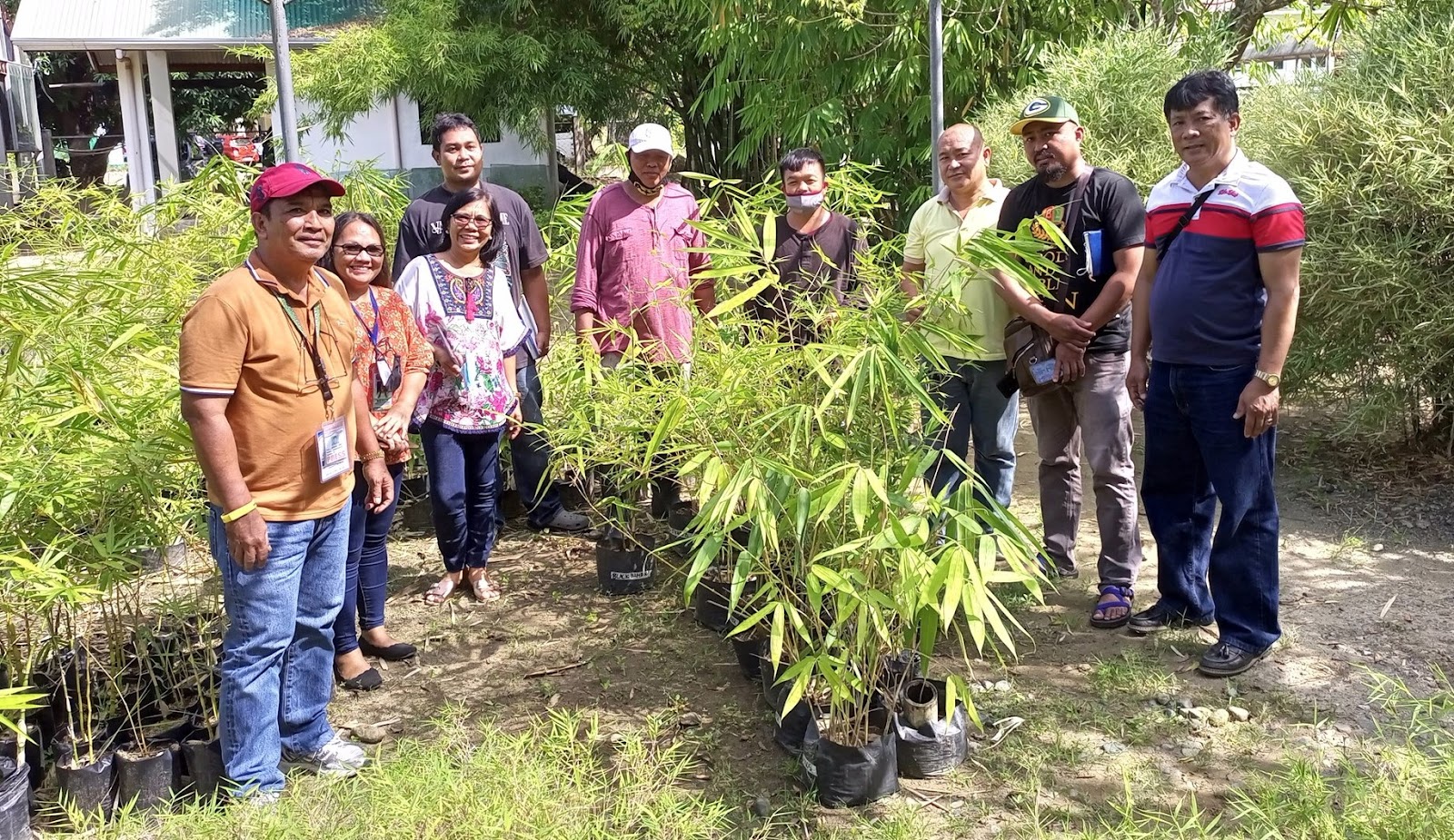 MMSU GIVES FULL SUPPORT TO NVES BAMBOO GENE BANK PROJECT