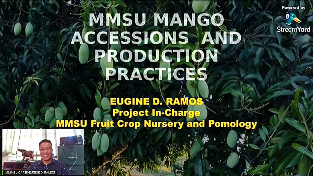 MMSU’s mango technology shared in forum