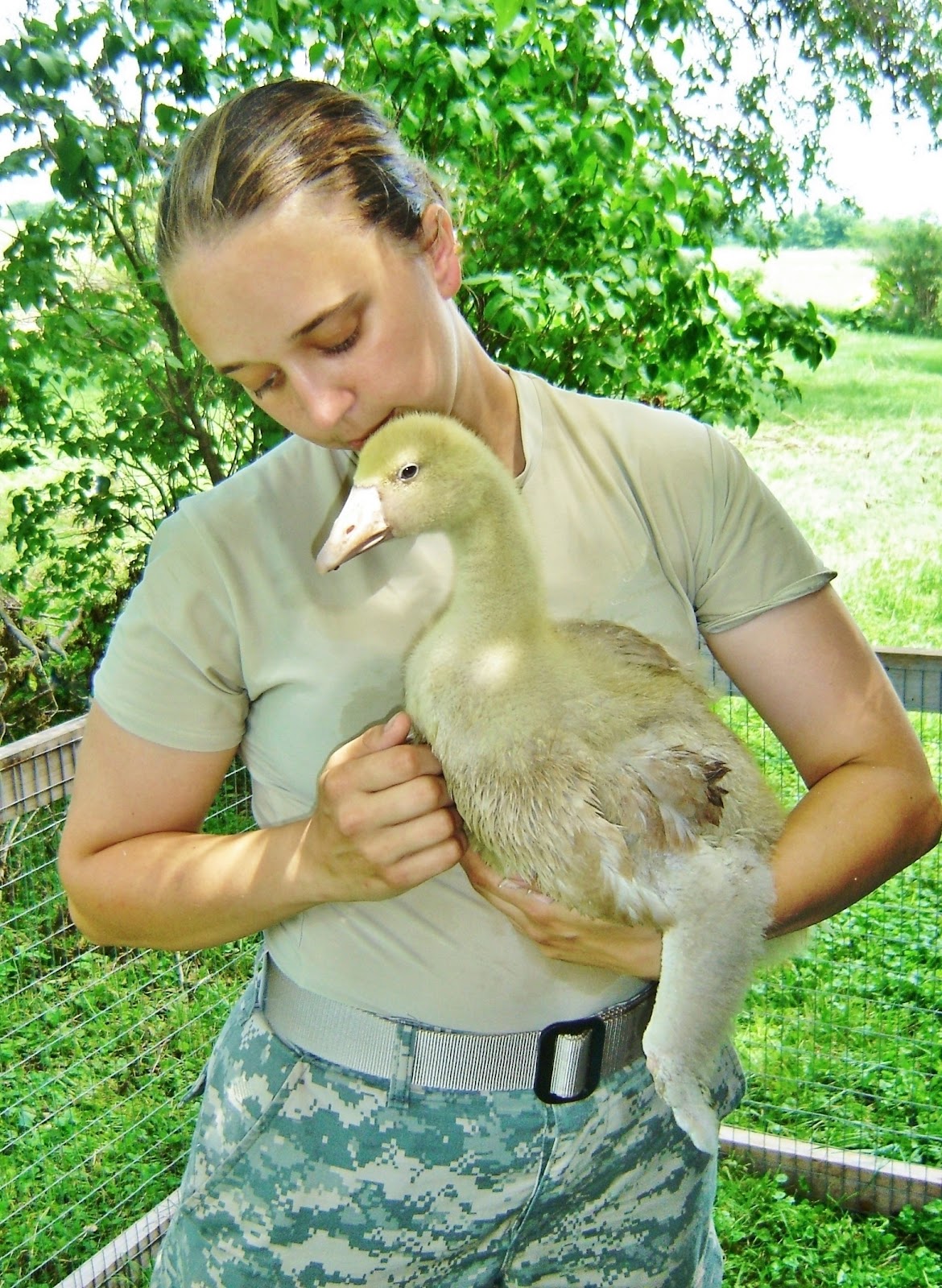 Duck, Goose & Chicken Hatchery | Metzer Farms, California