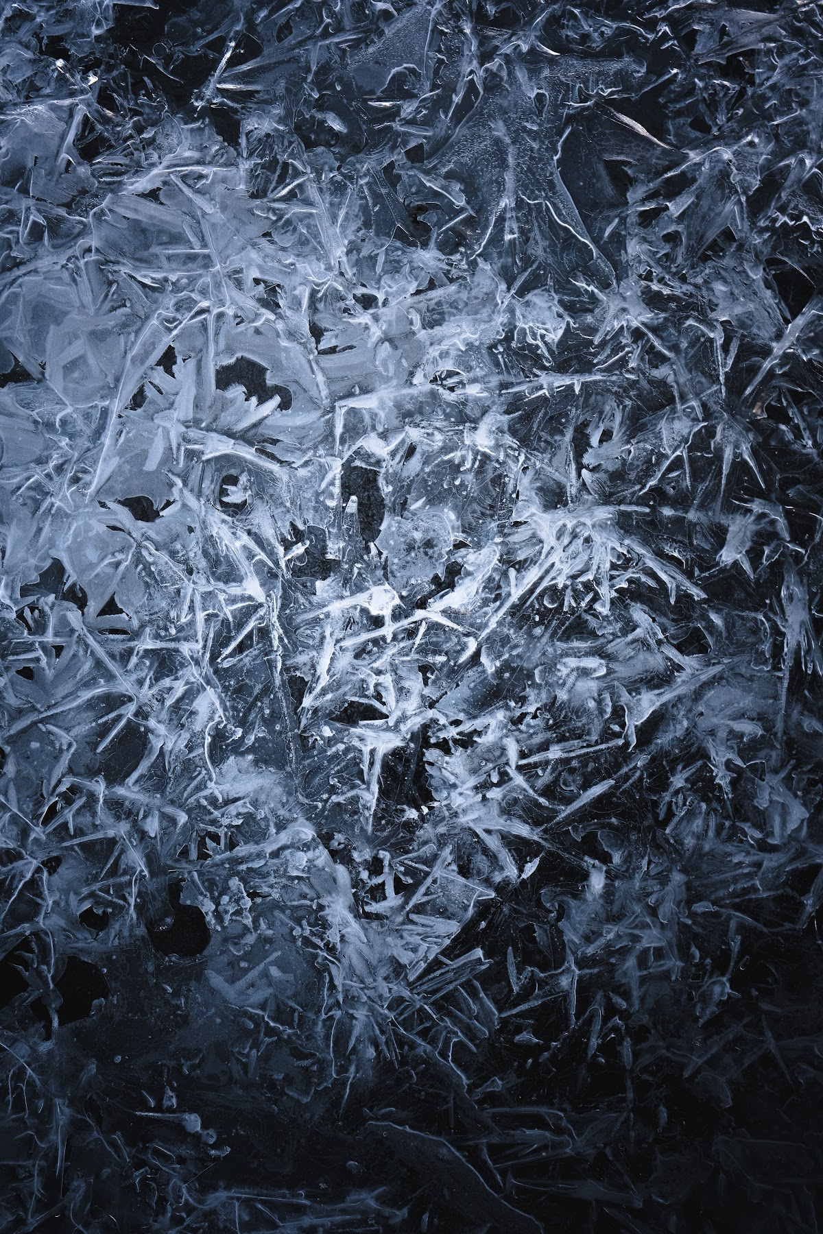 Black, Ice, Freezing, Frost, Black And White 5K iPhone Wallpaper