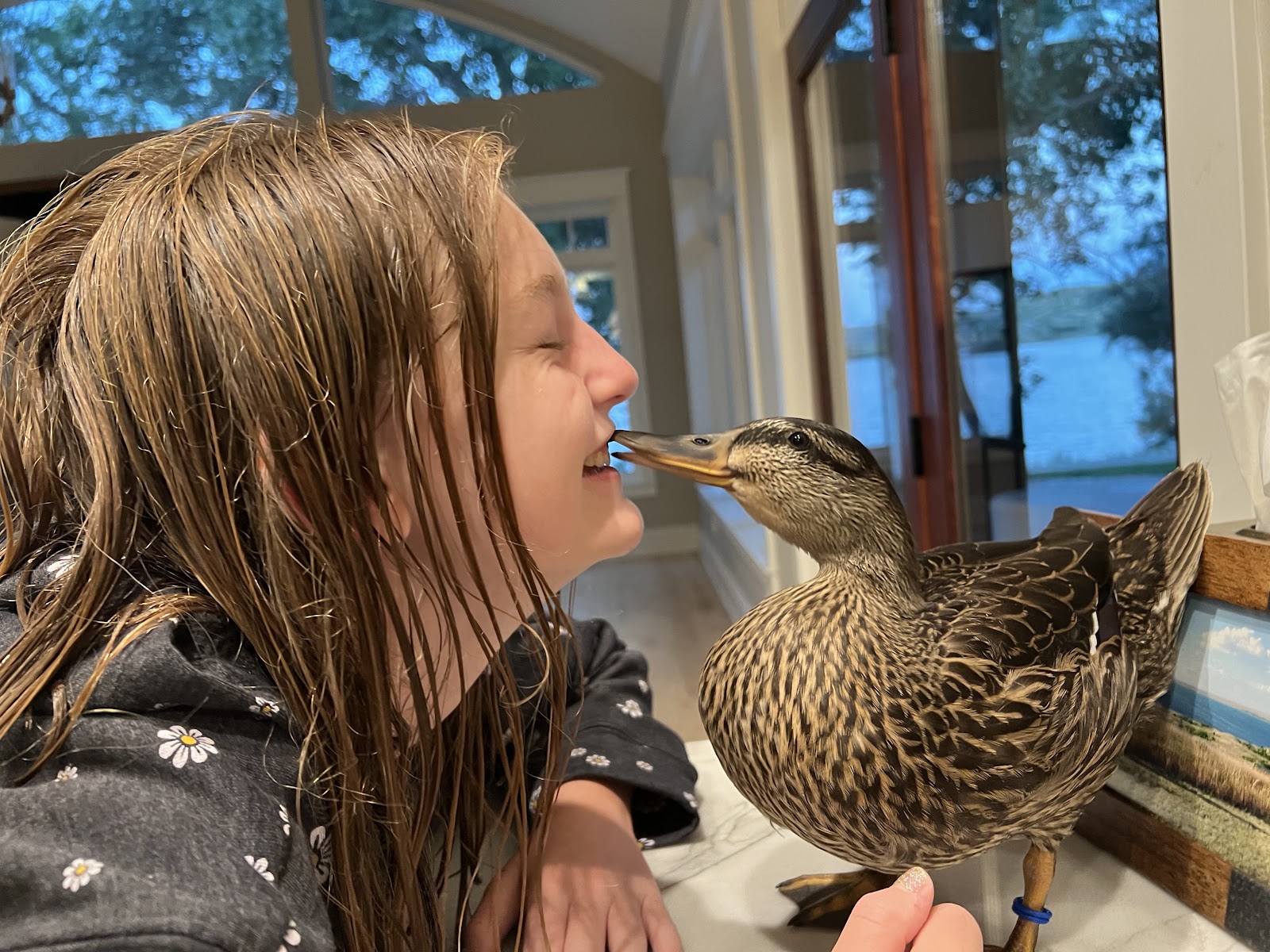 Duck, Goose & Chicken Hatchery | Metzer Farms, California
