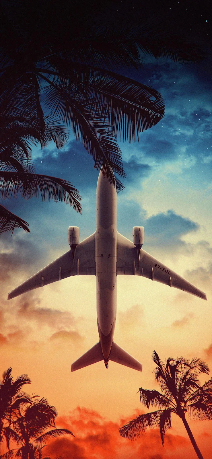 Airplane Flying Through Tropical Sunset Full HD iPhone Wallpaper