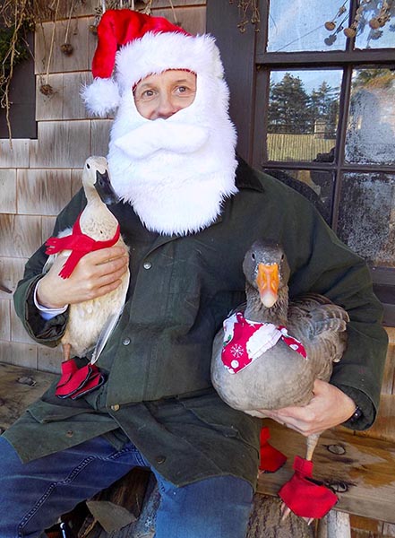 Duck, Goose & Chicken Hatchery | Metzer Farms, California