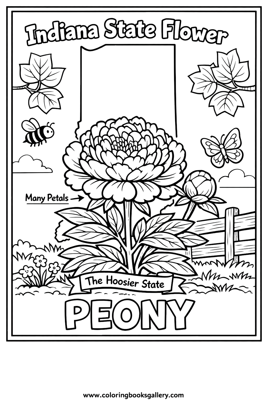 Indiana State Flower – Simple Educational Printable Coloring Page for Kids