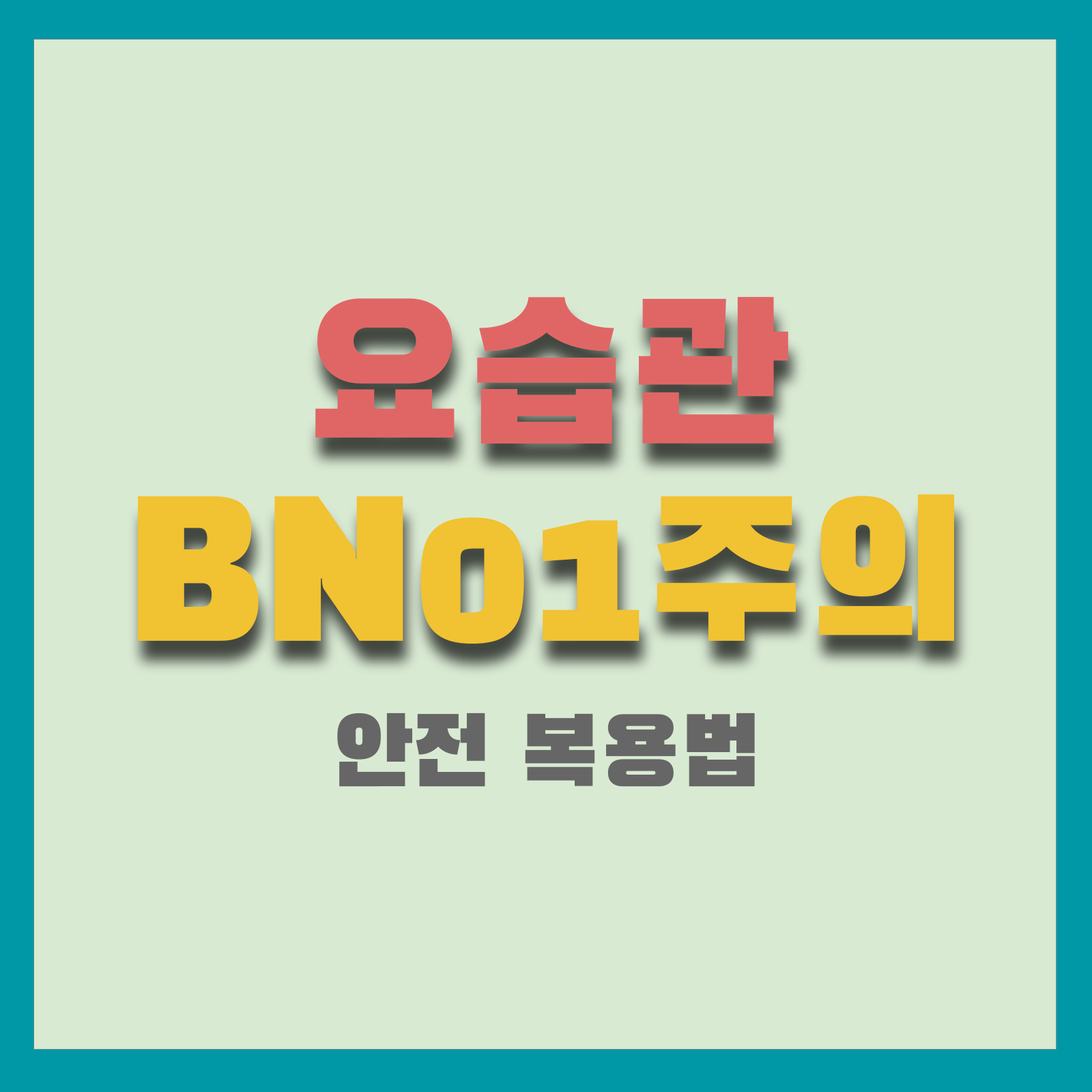 요습관 부작용과 효능, BN01 성분별 주의사항 및 안전한 복용법