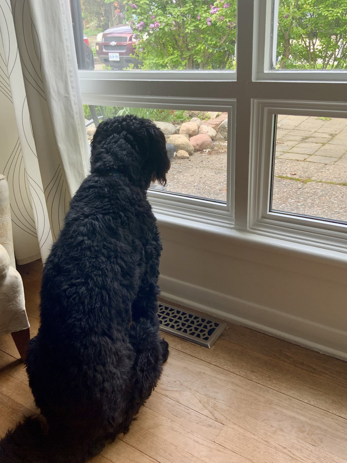 Miss Pancake Taylor's Blog