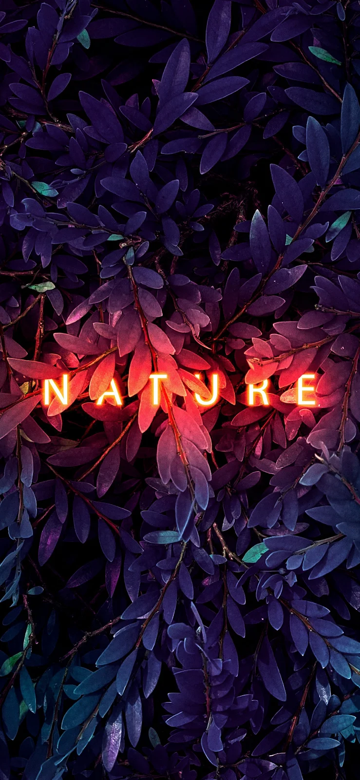Nature, Neon 2K iPhone Wallpaper