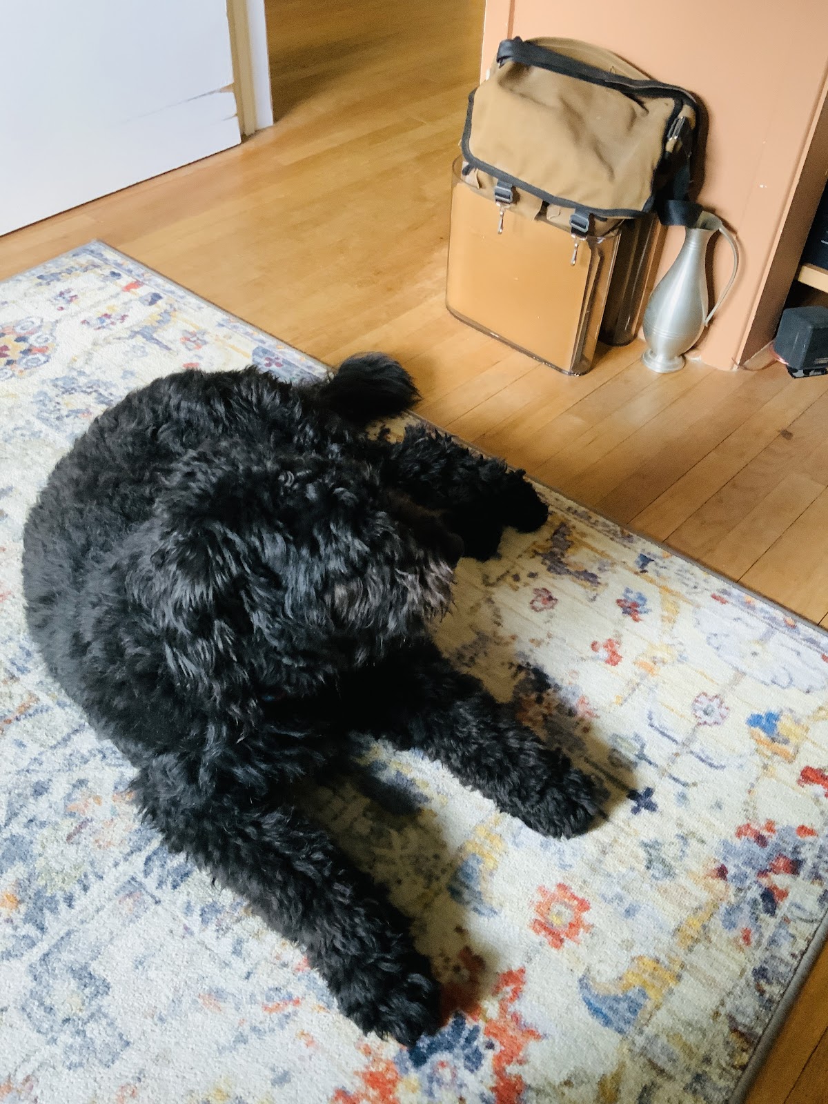 Miss Pancake Taylor's Blog: Day Six Hundred and Fifty Four