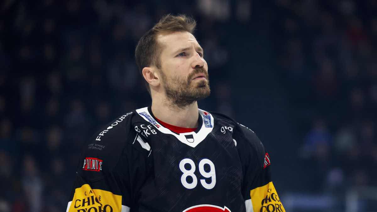 L’actu des Dragons