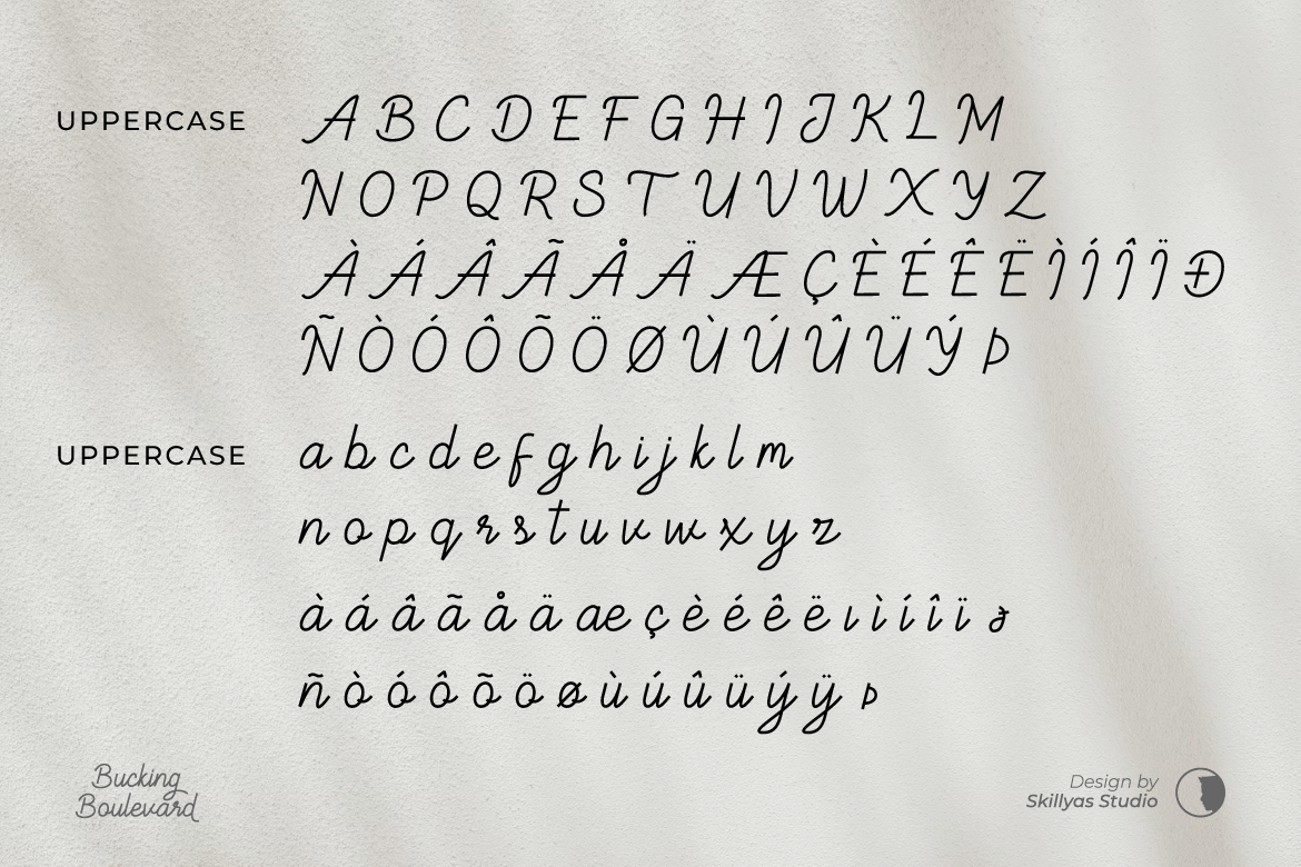Bucking Boulevard Script Font - Đồ Hoạ Vip