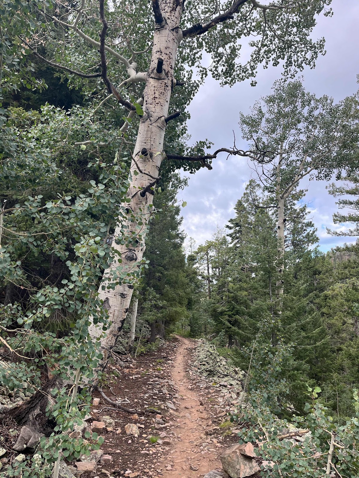 2024 Colorado Trail Thru-hike