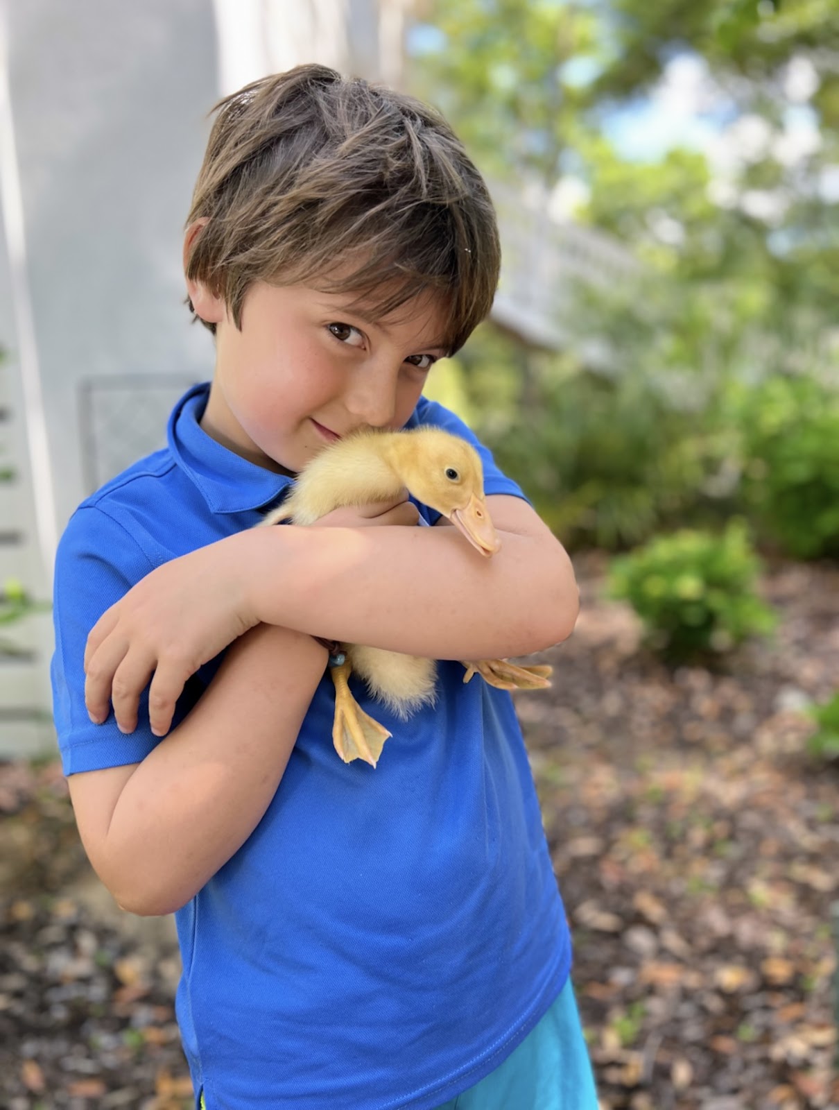 Duck, Goose & Chicken Hatchery | Metzer Farms, California