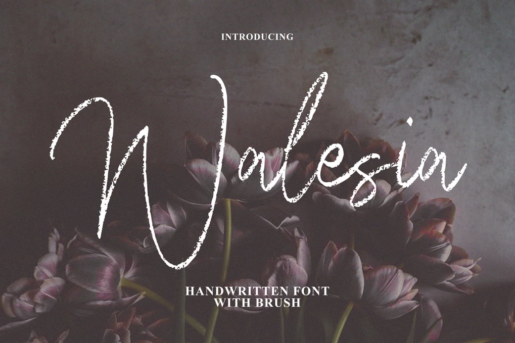 Walesia - Signature Brush - Đồ Hoạ Vip