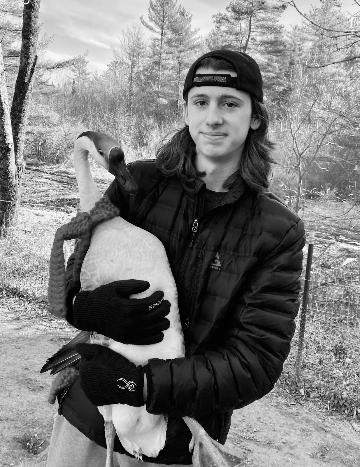 Duck, Goose & Chicken Hatchery | Metzer Farms, California