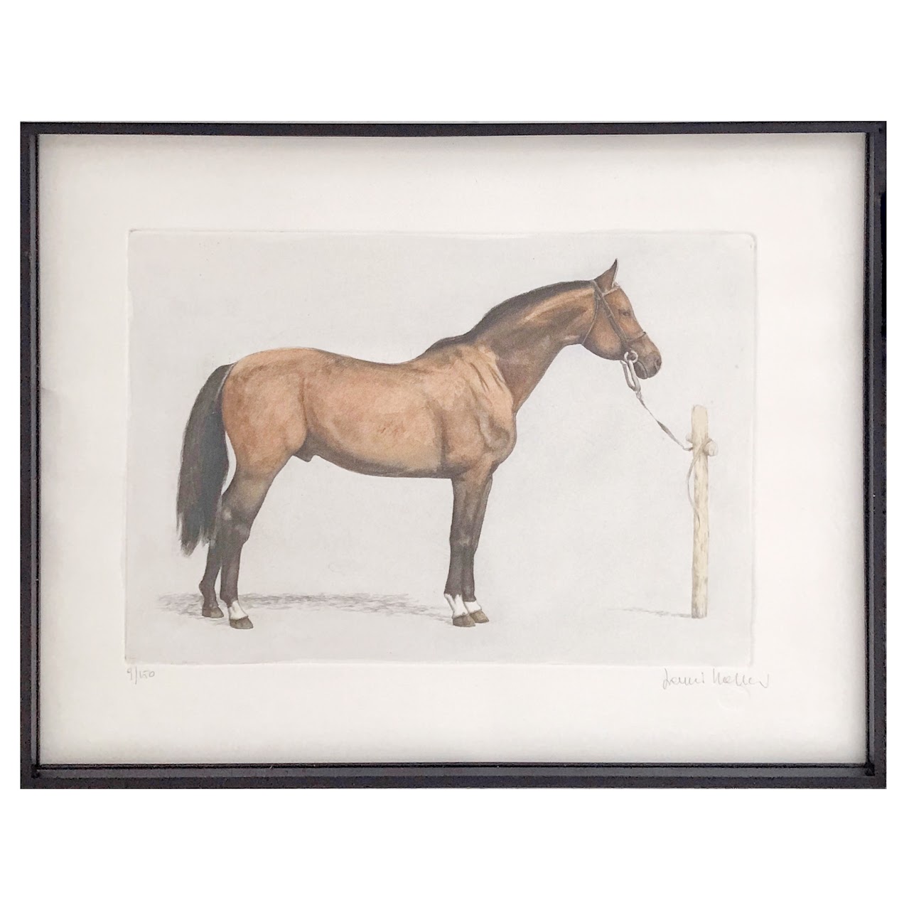 Equine Signed Etching