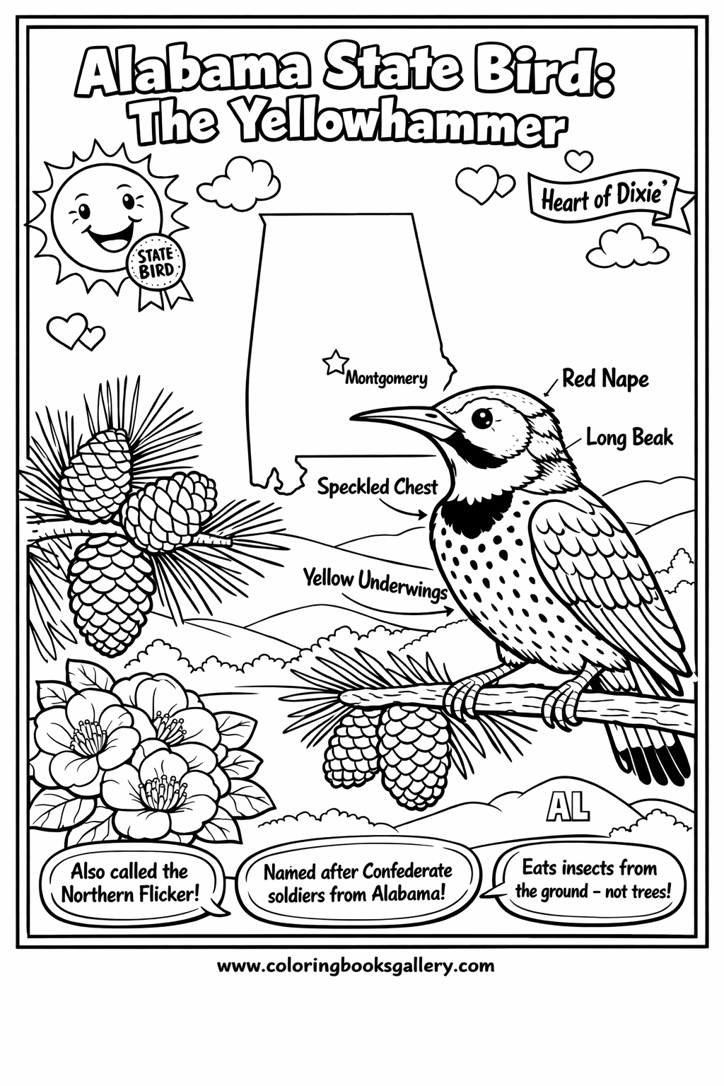 Alabama State Bird – Simple Educational Printable Coloring Page for Kids