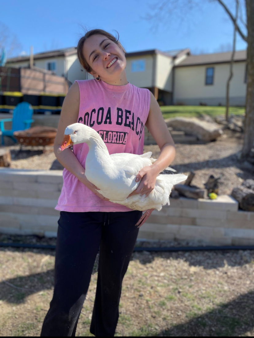 Duck, Goose & Chicken Hatchery | Metzer Farms, California