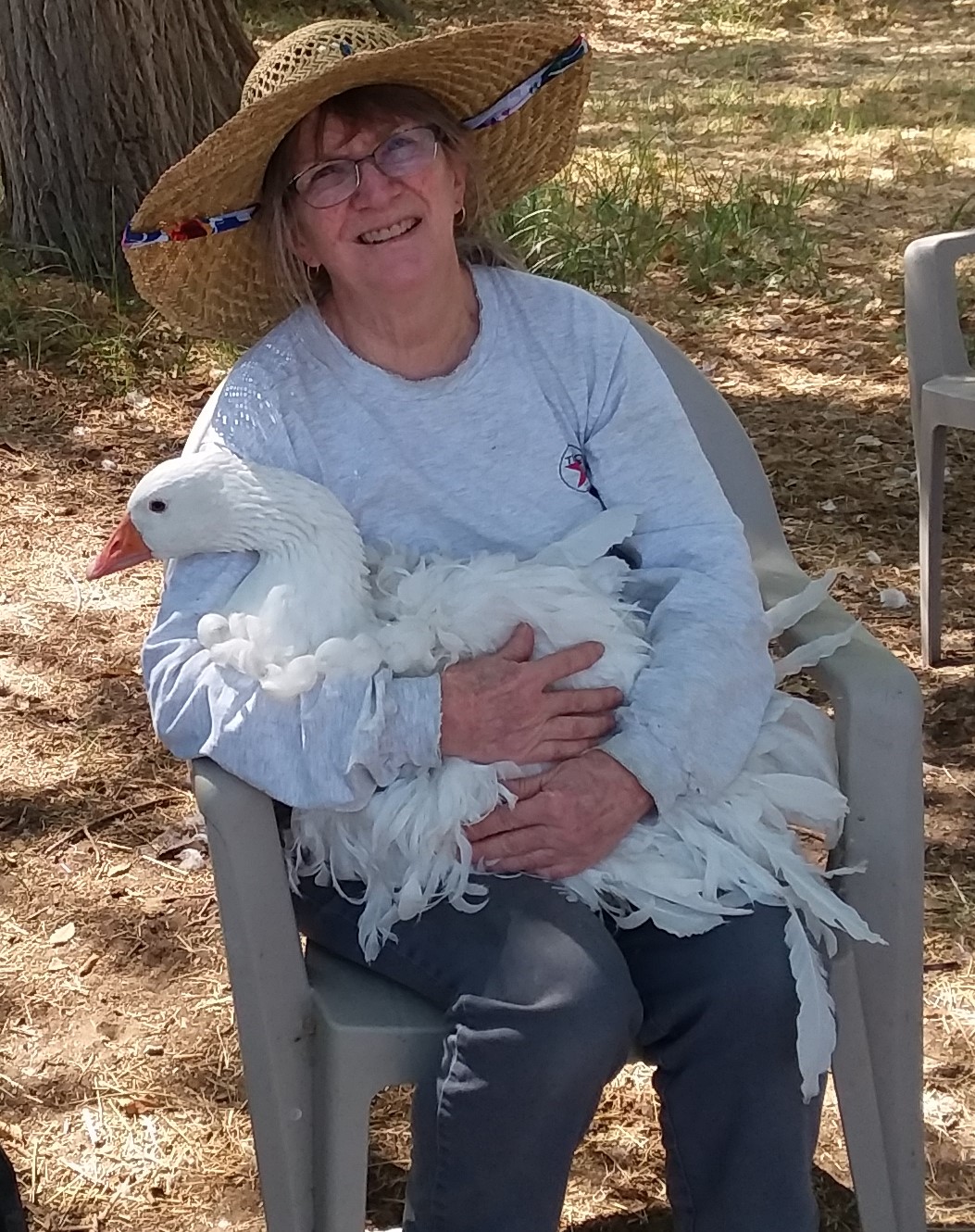 Duck, Goose & Chicken Hatchery | Metzer Farms, California
