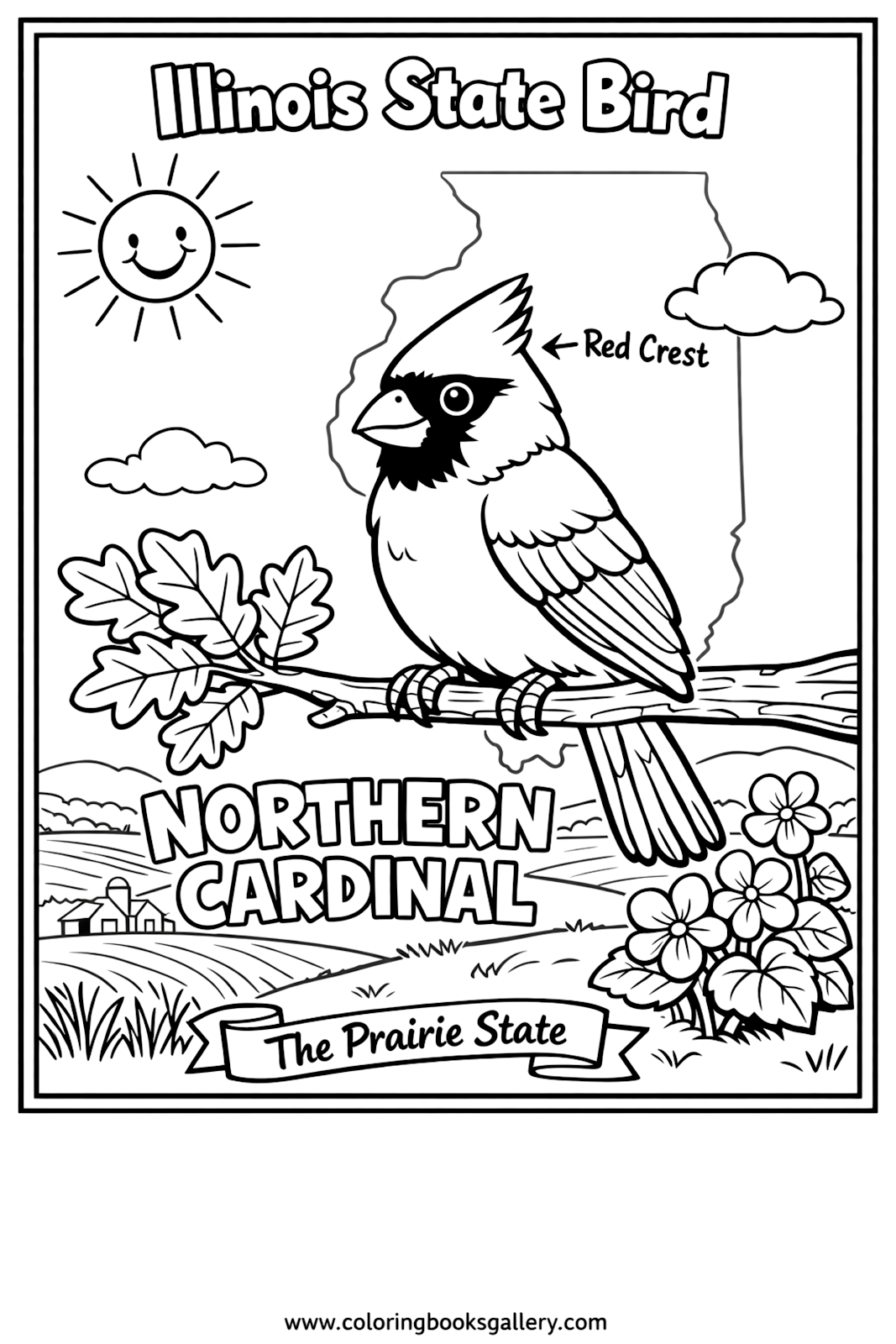 Explore the Illinois State Bird - A Printable Coloring Page for Kids
