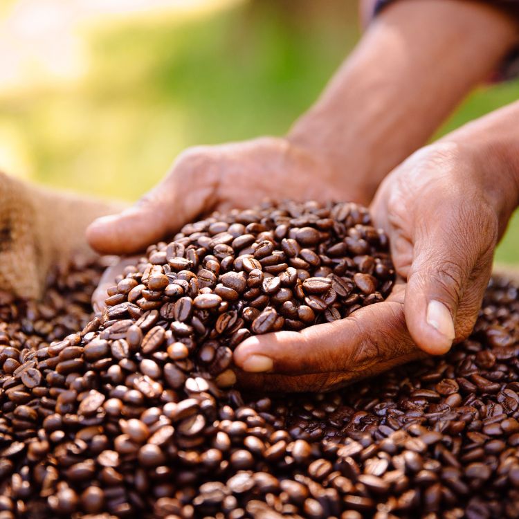 About the New SCA Coffee Value Assessment System (Part 1)