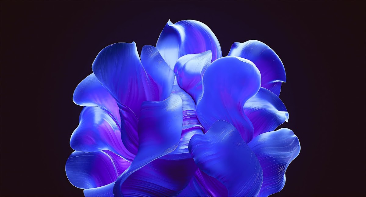 Windows 11, Flower Garden 5K Wallpaper